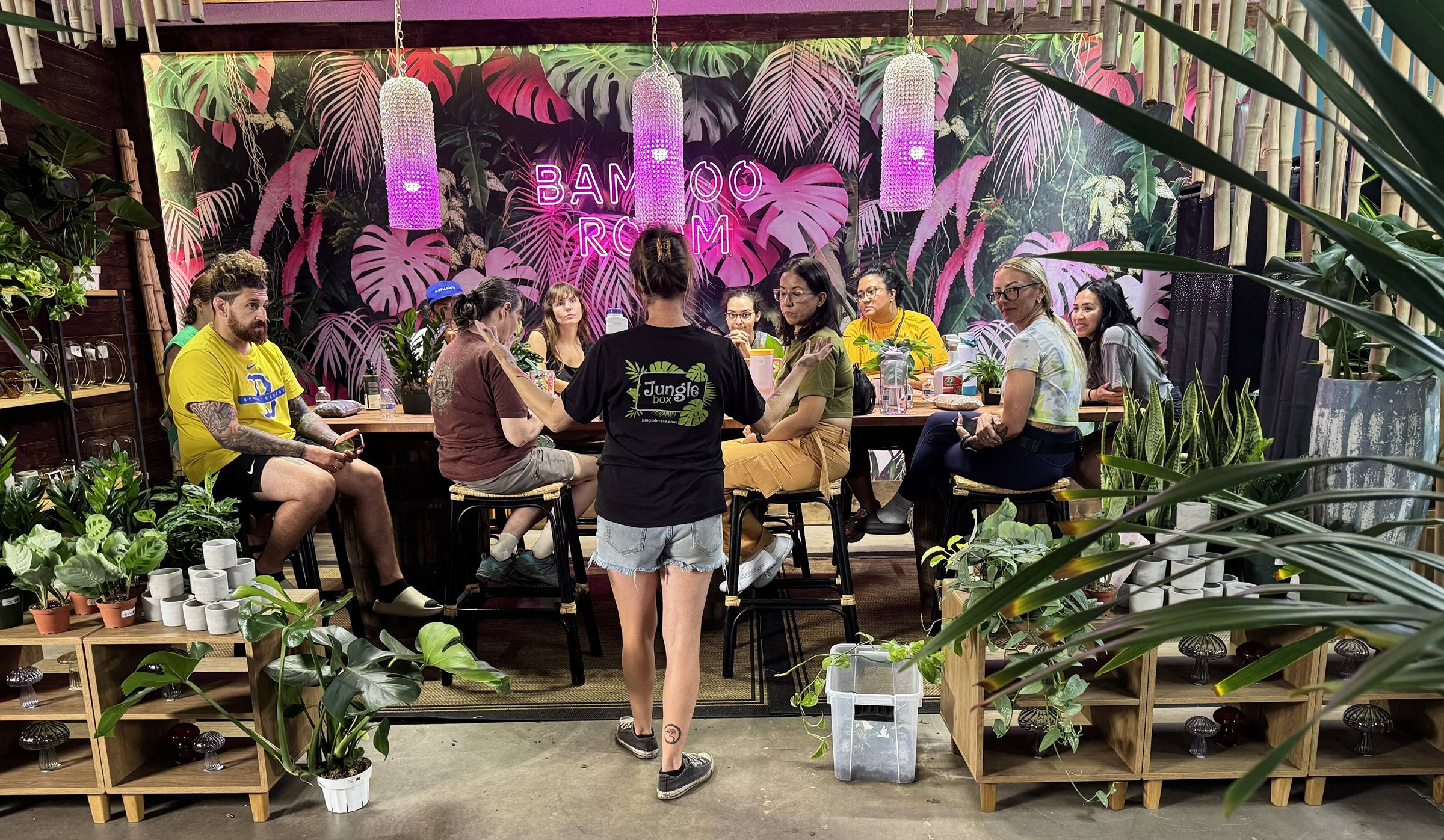 Phoenix Plant Store | Jungle Box