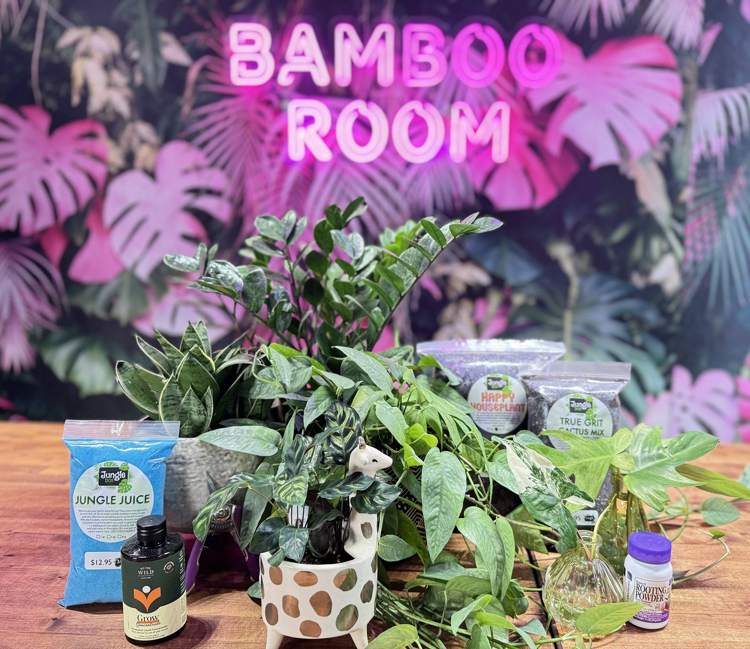 Phoenix Plant Store | Jungle Box