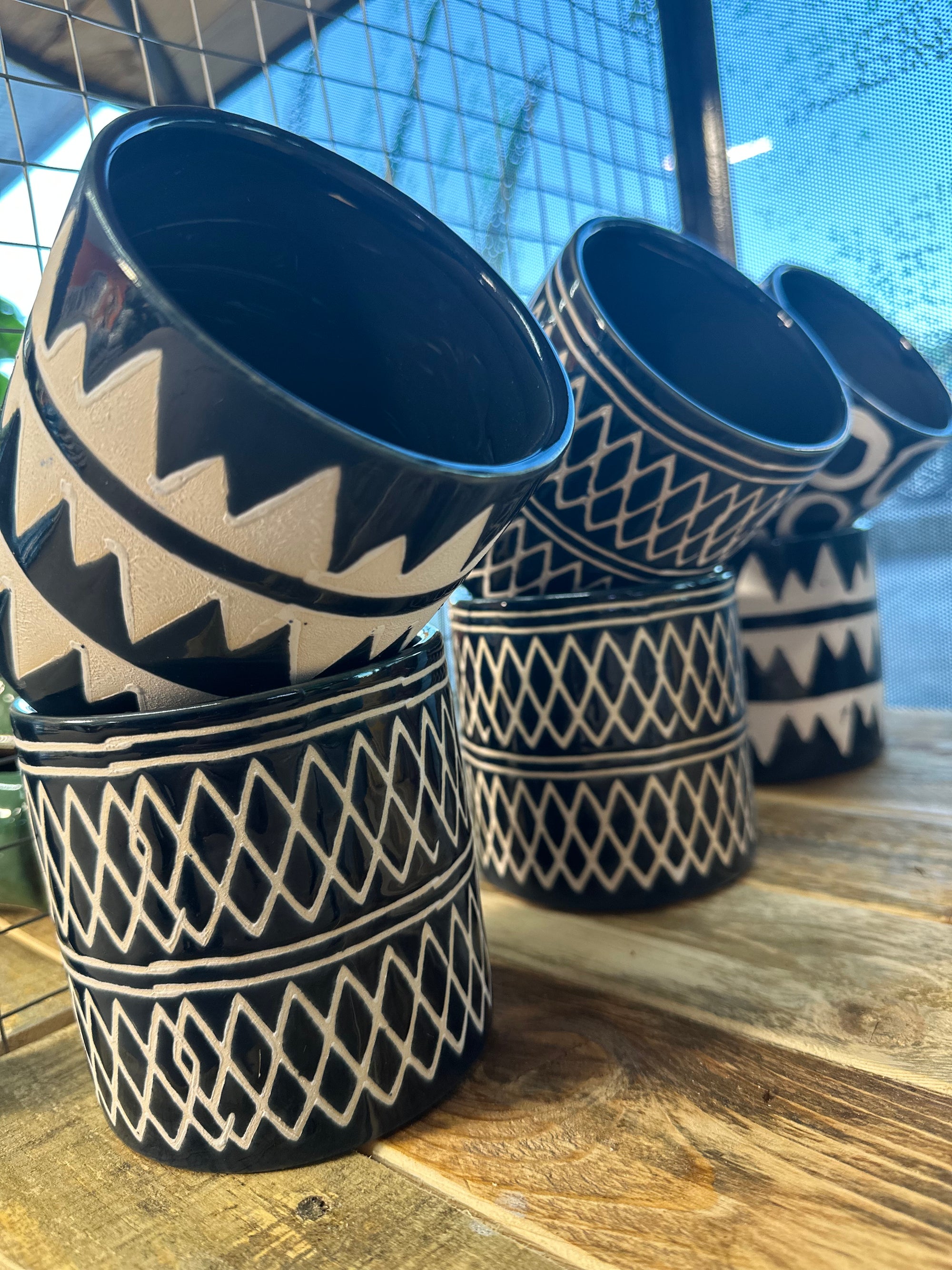 Phoenix Plant Store | Jungle Box LLC